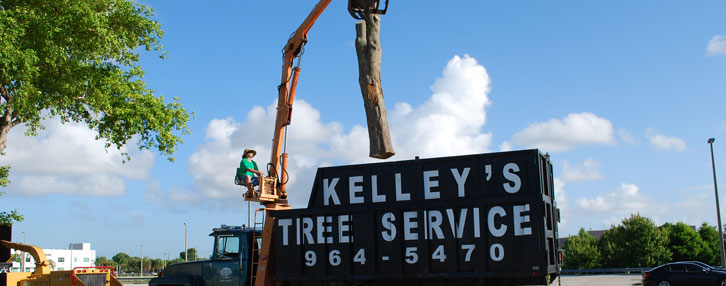 Kelley's Tree Services Inc. - Palm Beach County, Florida